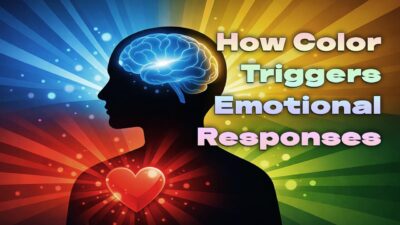 How Color Triggers Emotional Responses - 601MEDIA
